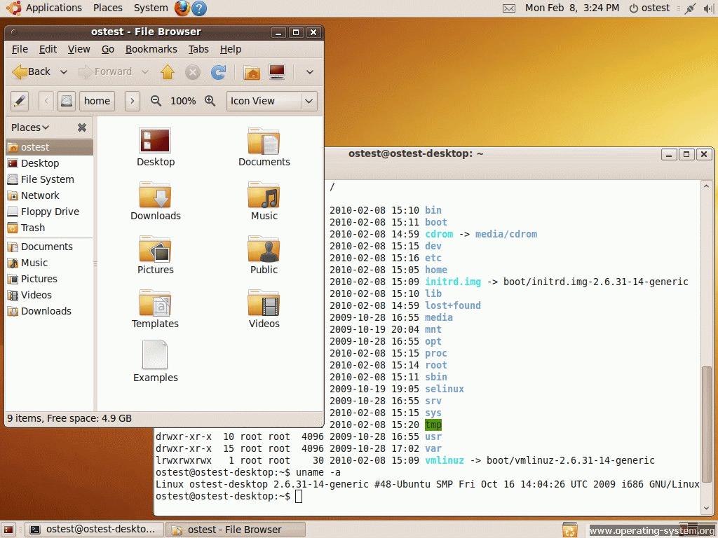 Operating System Screenshot: linux ubuntu ubuntu910 11